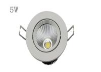 China Energy Saving Warm white waterproof 5W COB LED Downlight with 25 degree Beam angle for sale