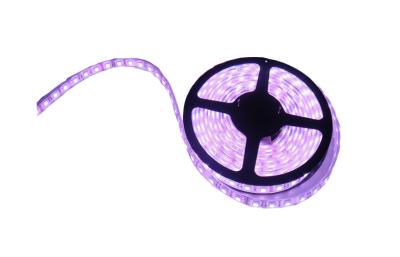 China SMD3528 Indoor LED Lights , SMD3528 DC12V IP20 Flexible LED Strip Lights for sale