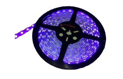 China High luminous beautiful SMD5050 Flexible LED Strip Lights 60led/m 11-13LM for sale