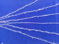 China 9Nm Lurex Eyelash Yarn With Transparent Pile For Embroidery for sale