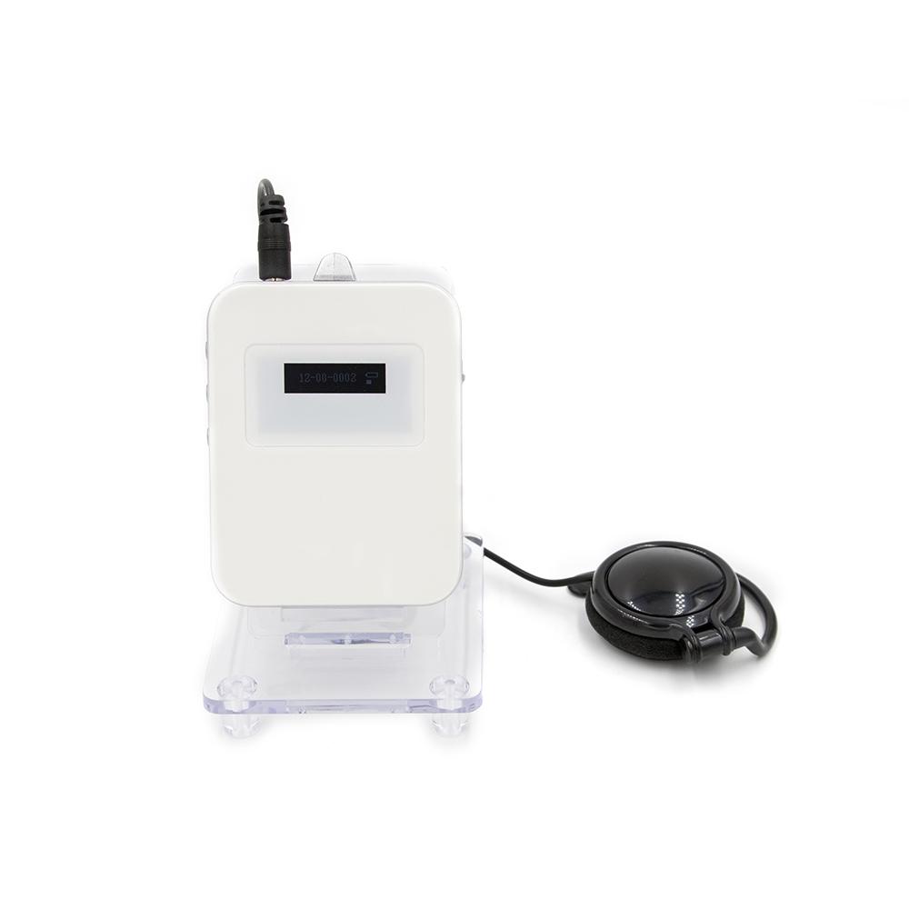 Seamlessly integrate with the pre-recorded audio of the interpreter