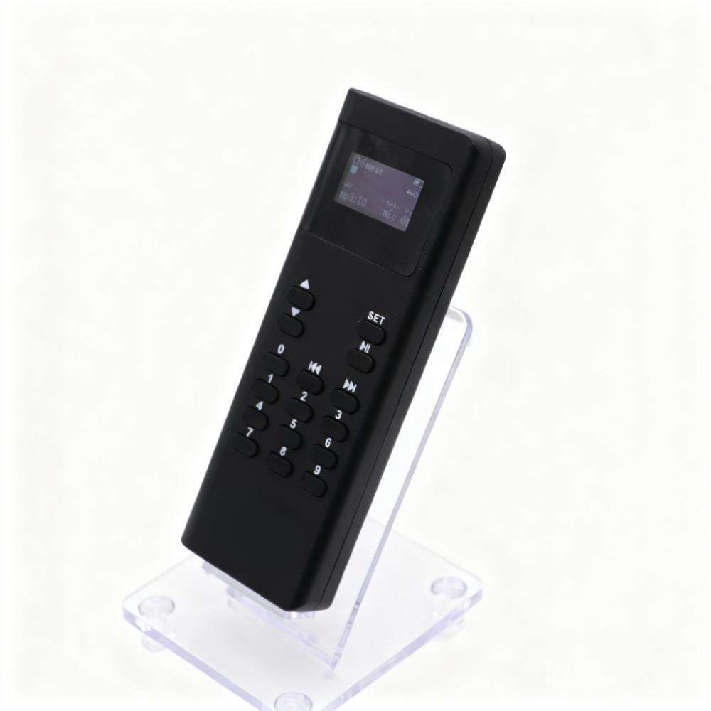 In-depth Audio Guide