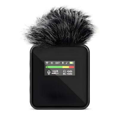 China Equipped With Two People Explaining At The Same Time And Imported LLC Noise Reduction Chip for sale