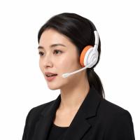 China Team Wireless Intercom for Guided Tours for sale