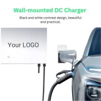China 20-40kW Wall-Mounted DC Fast Charger Station with 200-750VDC Output and IP30 Rating for Electric Vehicles for sale