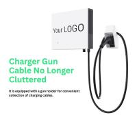 China Wall Mounted DC EV Charger 30kW CCS2 GBT One-Click Start IP30 for sale