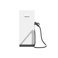 China Air-Cooled Dual-Gun DC Fast Charger 250A IP54 EV Charging Station for sale