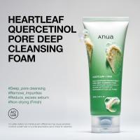 China Korean Heartleaf Quercetinol Moisturizing Facial Cleanser Foam BHA Hyaluronic Acid Blackhead Remover 150ml 5.07oz for sale