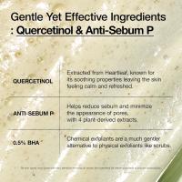 China Korean Heartleaf Quercetinol Moisturizing Facial Cleanser Foam BHA Hyaluronic Acid Blackhead Remover 150ml 5.07oz for sale