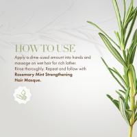 China Purify Clarifying Rosemary Mint Shampoo Infused For Weak Brittle Hair OEM for sale
