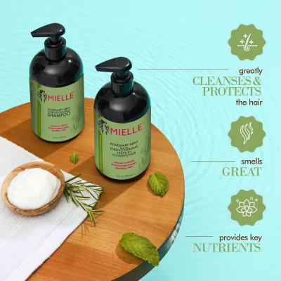 China Infused Rosemary Mint Hair Regain Shampoo With Biotin Paraben Free for sale