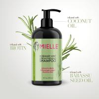 China Purify Clarifying Rosemary Mint Shampoo Infused For Weak Brittle Hair OEM for sale