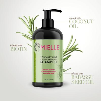 China Purify Clarifying Rosemary Mint Shampoo Infused For Weak Brittle Hair OEM for sale