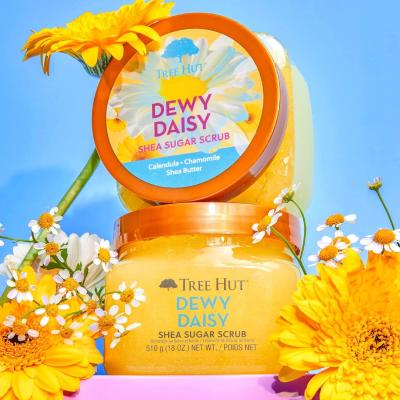 China Dewy Daisy Shea Sugar Tree Hut Exfoliating Body Scrub Exfoliator Customized for sale