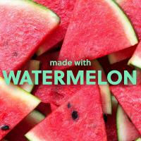 China Dry Skin Watermelon Shea Sugar Scrub Natural Body Exfoliator 510g for sale