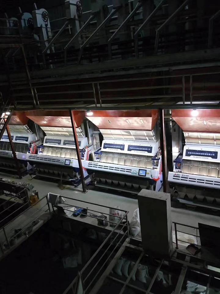 rice sortex machine