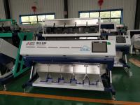 China Coffee Beans Color Sorter machine Umsebenzi Self-learning linomsebenzi ukuchongwa umfanekiso oluzenzekelayo kwaye ufunde for sale