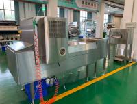 China X-ray sorter FX4805-BS-B,for food industry,X-ray Inspection Machine for Bulk Food for sale