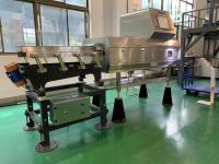 China X-ray sorter FX4805-BS-B,for food industry,X-ray Inspection Machine for Bulk Food for sale