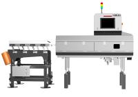 China X-ray sorter FX4805-BS-B,for food industry,X-ray Inspection Machine for Bulk Food for sale
