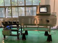 China X-ray sorter FX4805-BS-B,for food industry,X-ray Inspection Machine for Bulk Food for sale