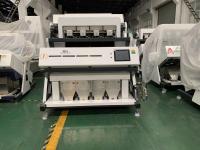 China RGB Beans Color Sorter Machiner in Argentina,Planta de proceso de arroz, Clasificador de color de granos y arroz for sale