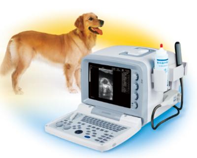 China KX2000V  full digital B mode  veterinary ultrasound scanner for sale