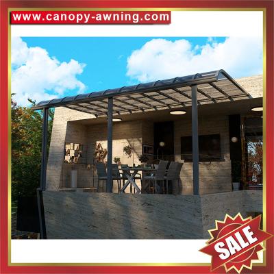 China outdoor backyard patio terrace balcony awning canopy canopies shelter with aluminum frame and polycarbonate sheet for sale