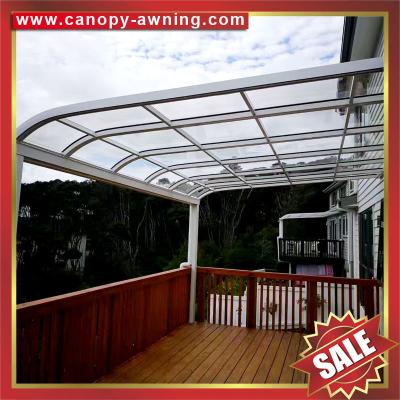 China outdoor gazebo patio balcony corridor porch aluminium aluminum frame pc polycarbonate window door awning canopy shelter for sale
