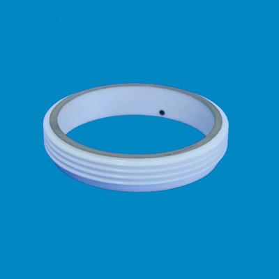 China 95% Alumina Ceramic Ring 3.6g/cm³ Density with 1600℃ Heat Resistance for Industrial Applications for sale
