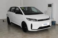 China Energy Vehicle 5 Seater MPV Left Hand Drive 5 Door BYD D1 High Speed Luxury Vehicle for sale