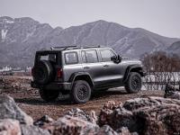 China Front Rear Disc Brakes Euro VI Great Wall TANK300 Fuel SUV for Great Value SUV for sale