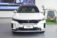 China 4905x1950x1645 Voyah REEV 2024 Euro VI Midsize SUV with Extended Range Intelligent Drive for sale