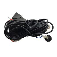 China Male Female Automotive Wiring Harness Cat's Eye Switch Customized Shielded for sale