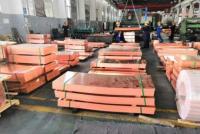 China Beryllium 2 Copper Alloy Plate UNS C17200 2mm X 200mm X 1000mm Hard State for sale
