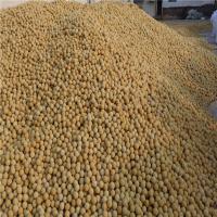 China 75% Industrial Alumina Refractory Ceramic Balls 1900°C Heat Resistant Refractory Balls for sale