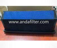 China High Quality Air Filter P629641 for sale