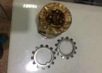 China SS304 SS316 External Teeth Serrated Lock Washer with Natural Color for Industrial Applications for sale