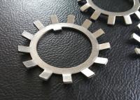 China SS304 SS316 External Teeth Serrated Lock Washer with Natural Color for Industrial Applications for sale