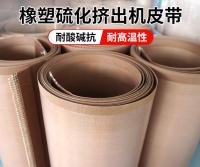 China Freezer Safe PTFE Mesh Belt with Bullnose Joint and High Tensile Strength for Industrial Applications for sale