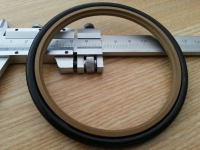 China Industrial Oil Seal with -0.1 To 36.8 MPa Working Pressure Customizable Size and Excellent Chemical Resistance for sale