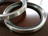 China Double Lip Stainless Steel 304 316 Industrial Oil Seal With Low Friction Factor 0.04 for sale