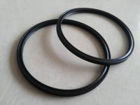 China High Flexibility O Ring Seal with Good Tear Resistance and Double Lip Design for Industrial Applications for sale