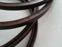 China Double Lip TC Oil Seal with Low Friction Factor 0.04 and Customizable Size for Industrial Applications for sale