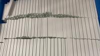 China Standard Size PTFE Cutter Pad with Good Tear Resistance and Excellent Uv Resistance for sale