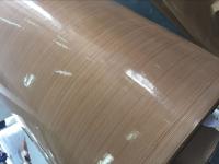 China Weather Resistant PTFE Fabric and Mesh Belt with Temperature Resistance -140°C to +260°C and Chemical Corrosion Resistance for sale