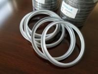 China High Wear Resistance Silicone Rubber Washers and DKBI/DKB Oil Seal with Perfect Sealing Performance and Excellent Durability for sale