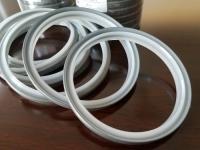 China High Wear Resistance Silicone Rubber Washers and DKBI/DKB Oil Seal with Perfect Sealing Performance and Excellent Durability for sale