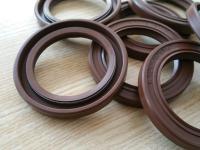 China Double Lip TC Oil Seal with Low Friction Factor 0.04 and Customizable Size for Industrial Applications for sale