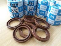 China Double Lip TC Oil Seal with Low Friction Factor 0.04 and Customizable Size for Industrial Applications for sale